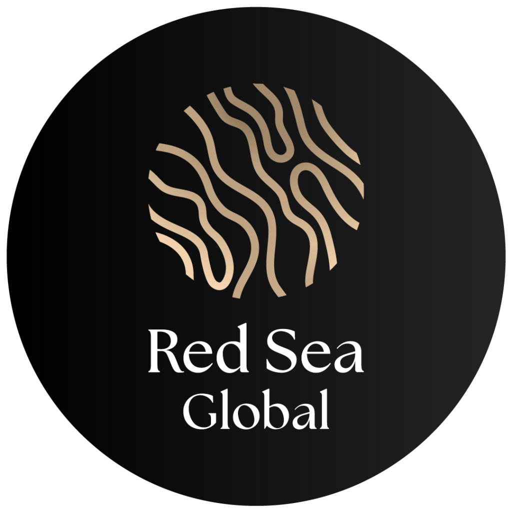 SNB Logo PNG (Free Download)