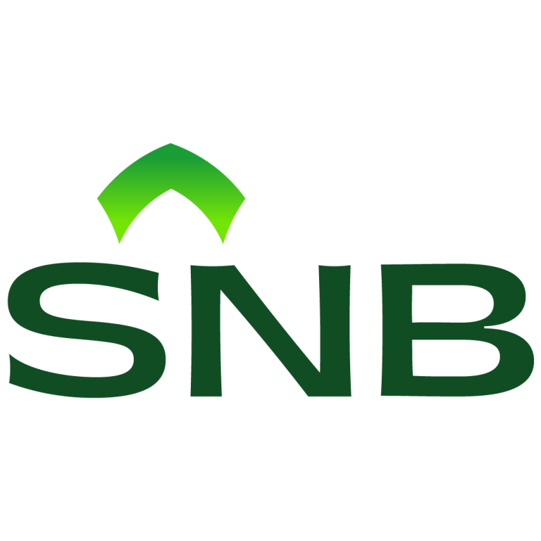 SNB Logo PNG (Free Download)