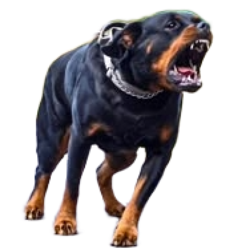 Angry Dog PNG (Free Download)