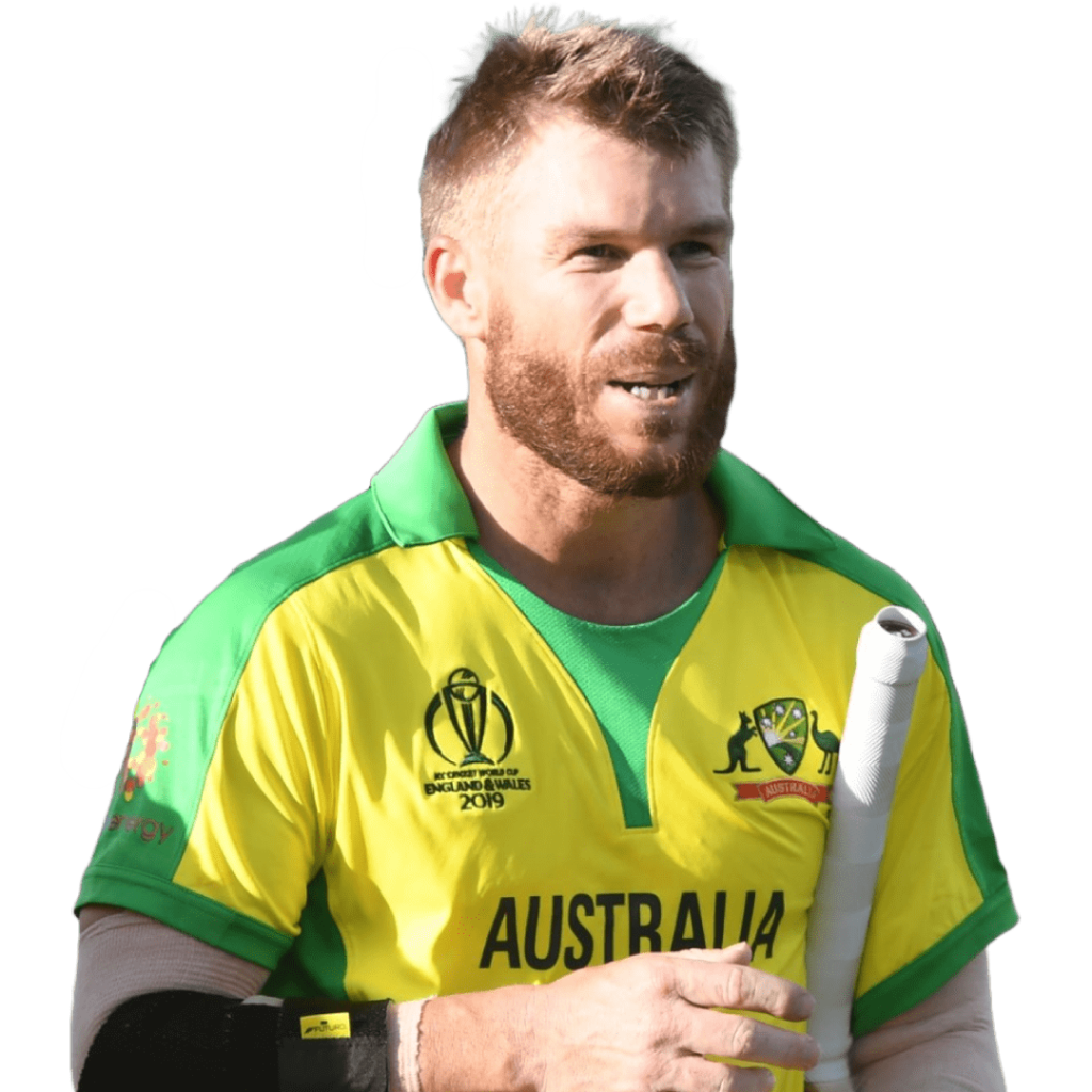 David Warner PNG (Free Download)
