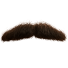 Mustache PNG (Free Download)