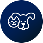 Petco Logo PNG (Free Download)