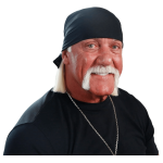 Hulk Hogan PNG (Free Download)