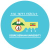Debre Berhan University Logo PNG (Free Download)